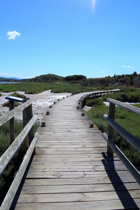 Que faire, que voir à Bages?