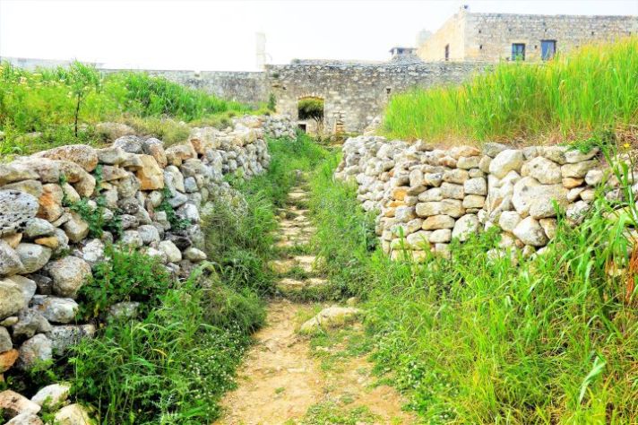 Top 10 des incontournables à faire dans la région de la Canée, Crète